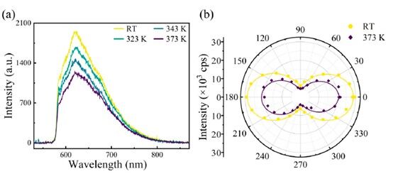 Investigation of the Photoelectronic Properties of Bulk 3C-SiC
